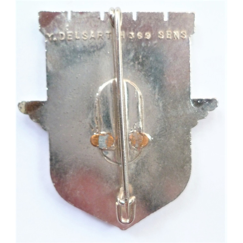 17th Parachute Engineers Regiment Badge France