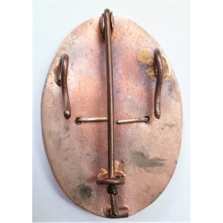 Spanish Armoured Infantry Enamelled Badge