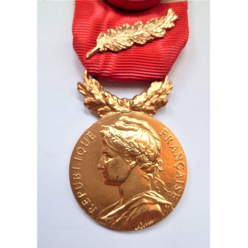 French Medal Of Honour For Social Security With Palms and Rosette