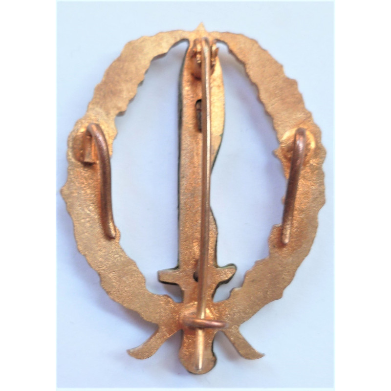 Spanish Special Operations Group Enameled Badge