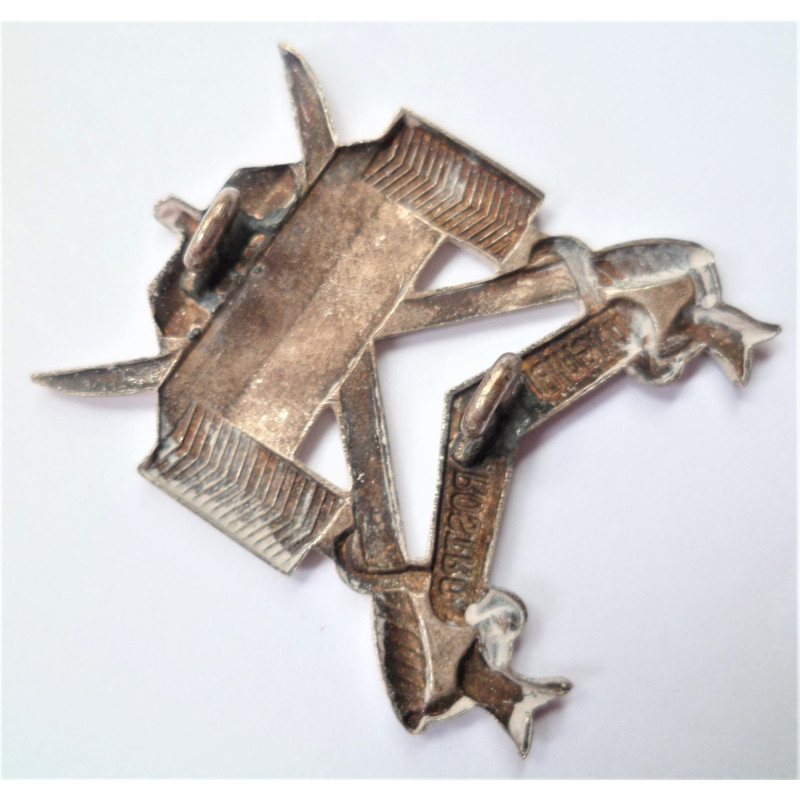 Belgium Army - Armoured 4th Recce Squadron Cap Badge insignia