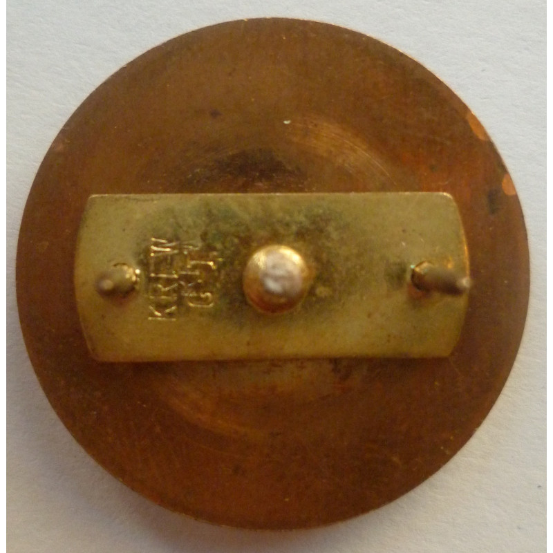 United States Army Intelligence Corps Collar Disc Type III Screw Back.