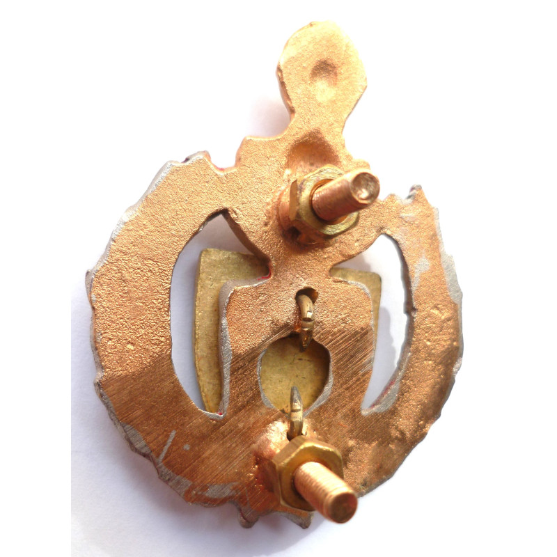 Engineers Badge/Insignia South African