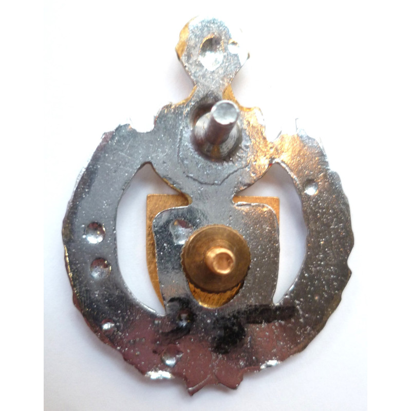 35 Engineer Support Regiment Badge/Insignia South African