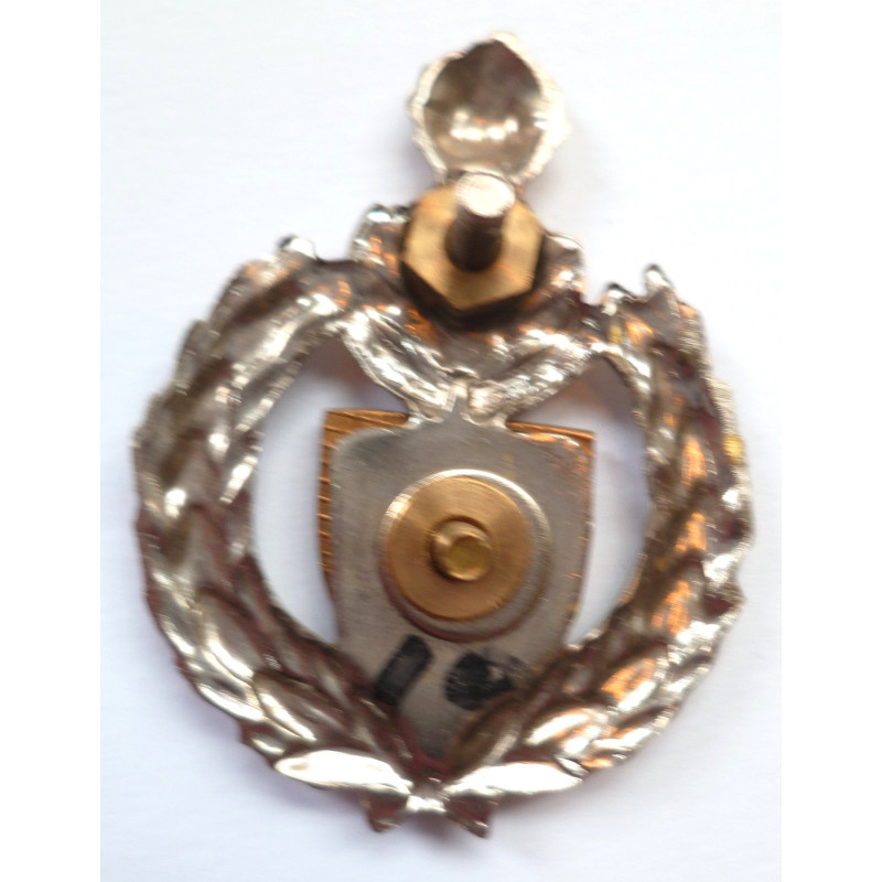 10 Engineer Regiment Insignia - South Africa - South African