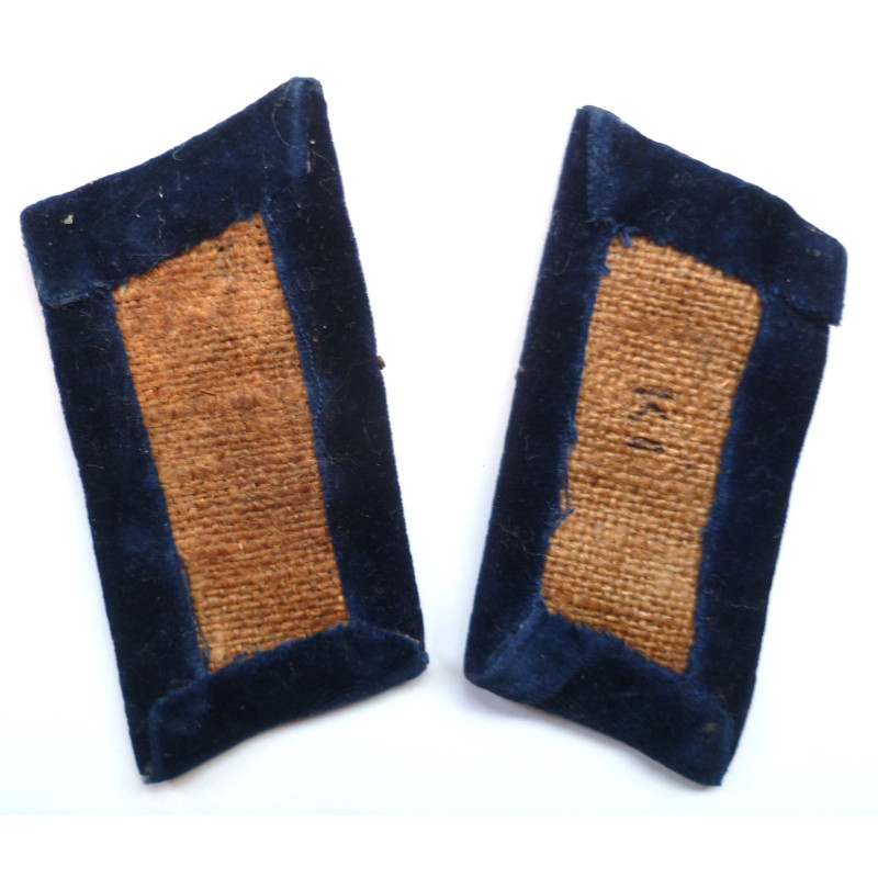 WW2 German RAD Officers Medical Collar Tabs Third Reich