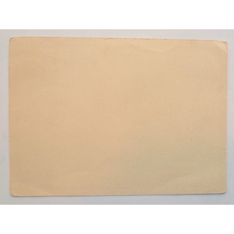 German Nazi Party Coming To Power Postcard 1933