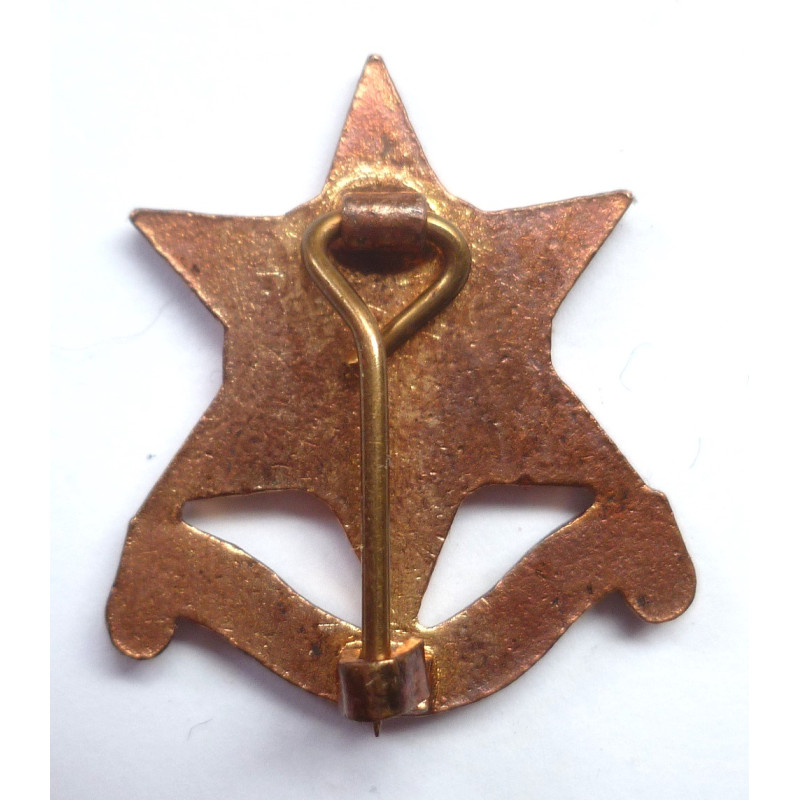 Burma Star Association Pin Badge
