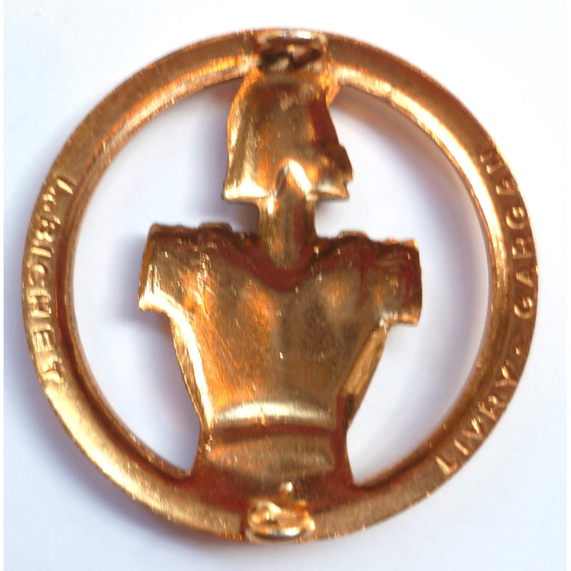 French Engineers Beret Badge France insignia
