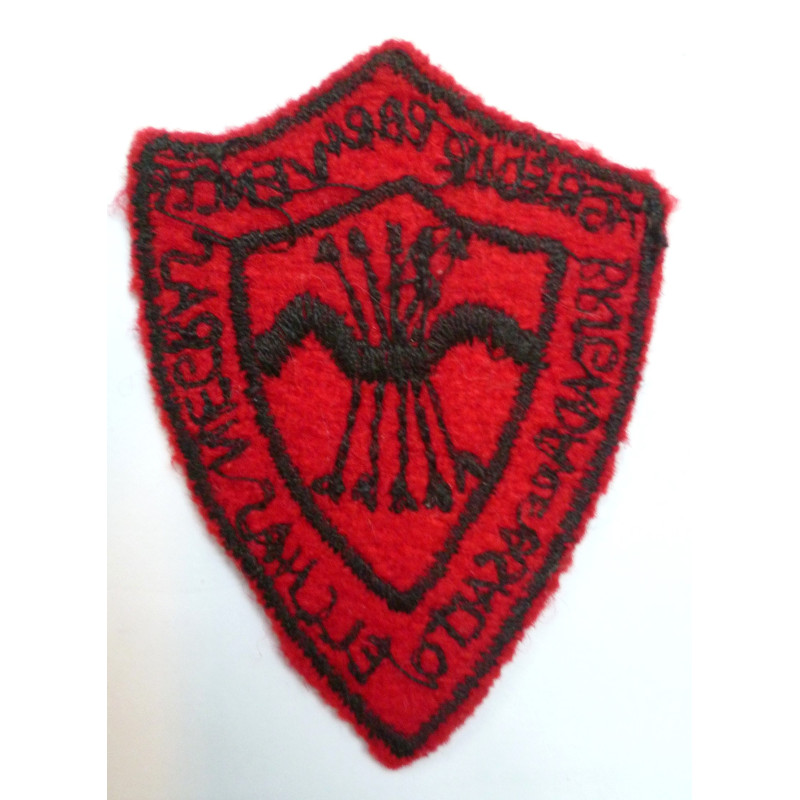 Spanish Civil War Black Arrow Badge - Spain - Spain Spanish Civil War