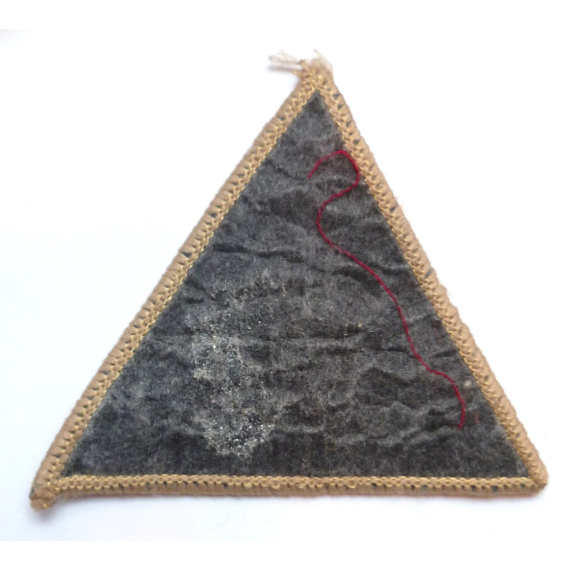 19th Light Brigade TRF Formation Badge