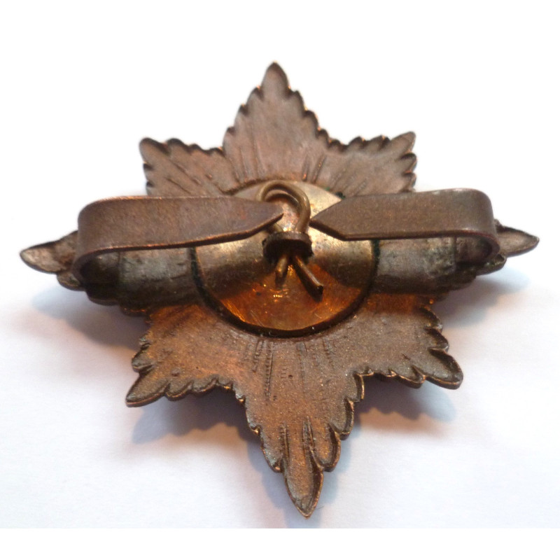 The Irish Guards Regiment Officers Bronze Cap Badge - British Army Insignia