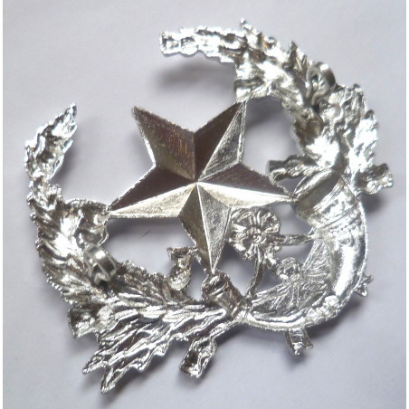 Cameronians (Scottish Rifles) Regiment Anodised Staybrite Glengarry/Cap ...