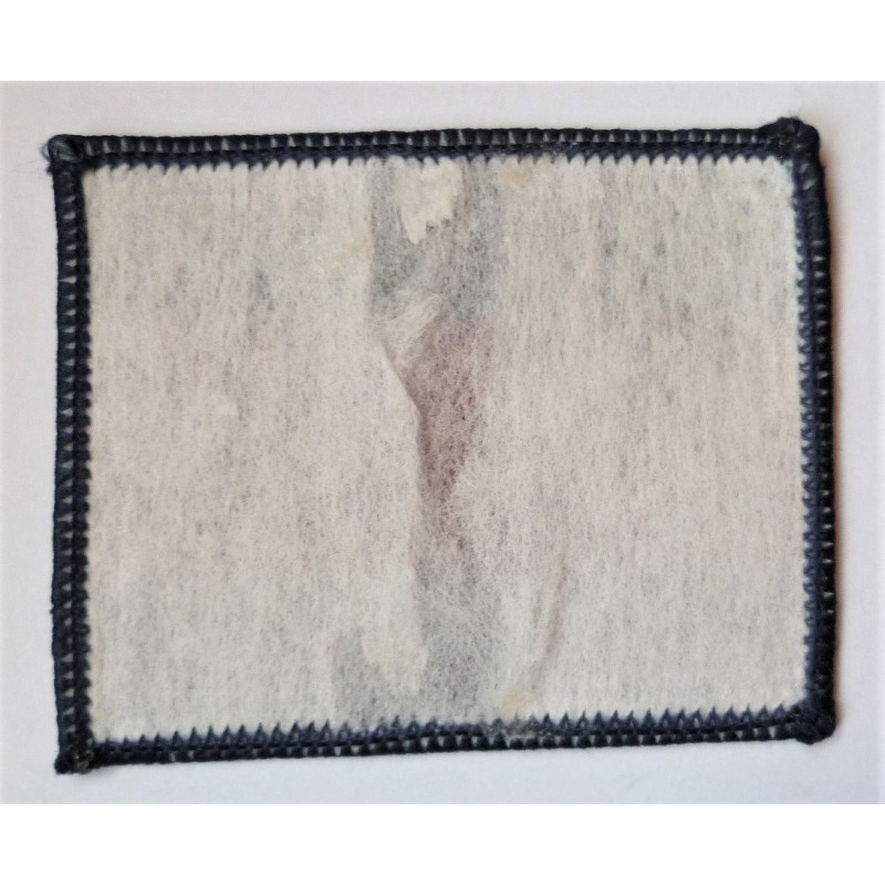 British Army Household Division TRF Tactical Recognition Tab insignia