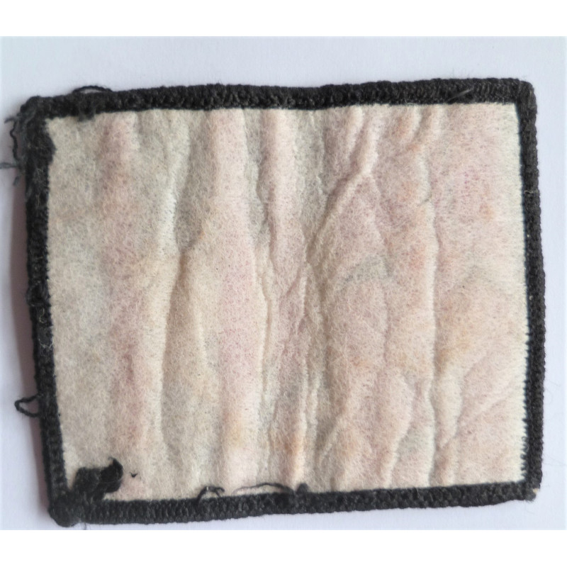 British Army 11th Infantry Brigade TRF Cloth Patch Military Insignia