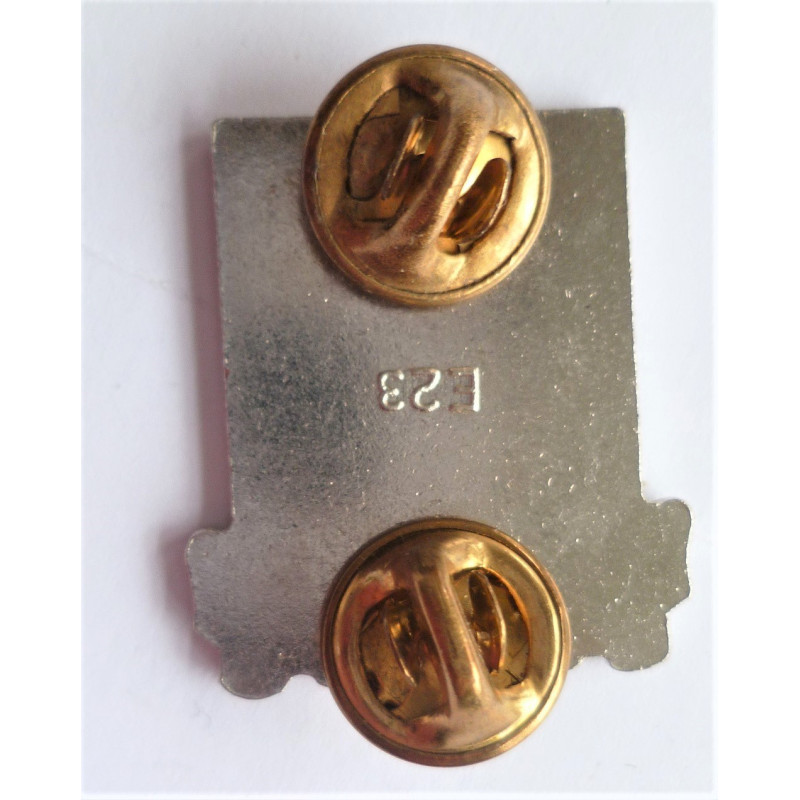 United States 321st Infantry Regiment DUI Crest badge Distinctive