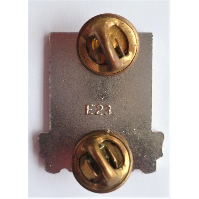 United States 321st Infantry Regiment DUI Crest badge Distinctive