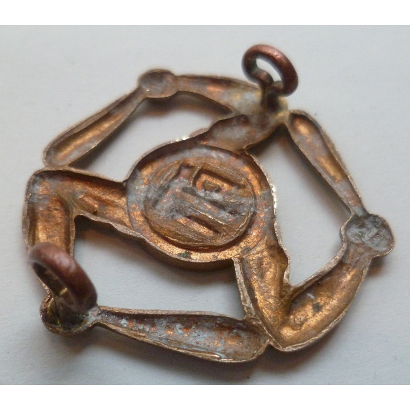 Physical Training Instructor Qualification Badge.