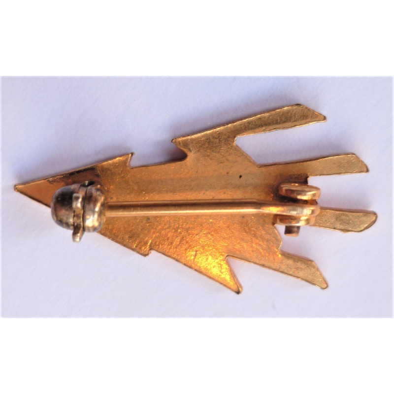 WW2 United States Navy Communications Warrant Officer Collar Device