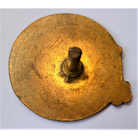 United States 245th Artillery Unit Crest DUI insignia