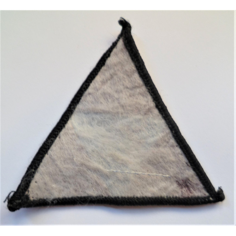 3rd Regiment Army Air Corps TRF Tactical Recognition British Army